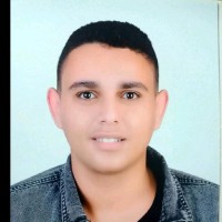 Omar Aly - Web Developer Portfolio